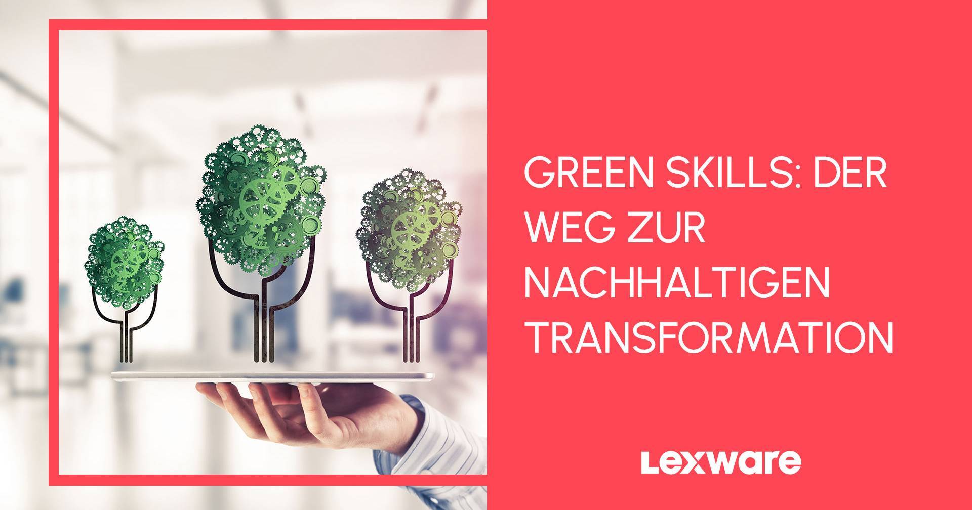 Green Skills: der Weg zur nachhaltigen Transformation | Lexware