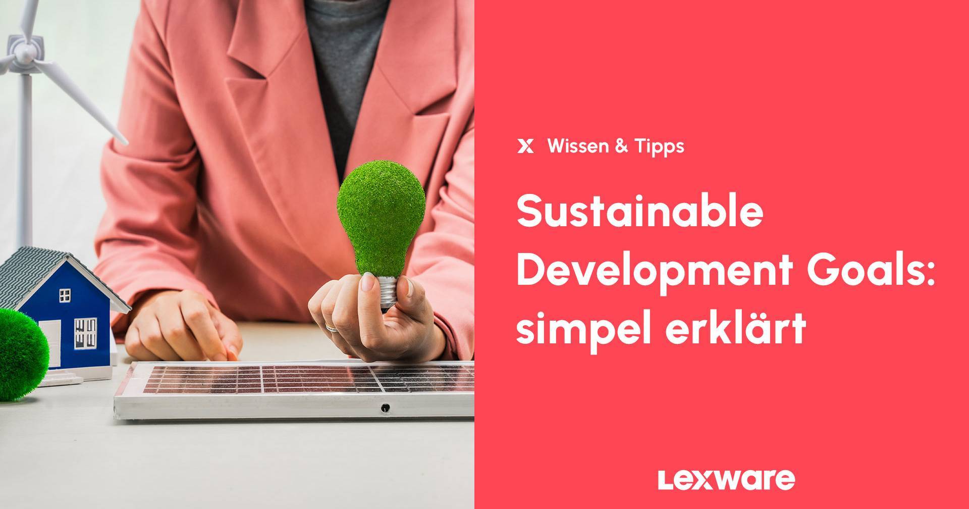 Sustainable Development Goals (SDGs): simpel erklärt | Lexware