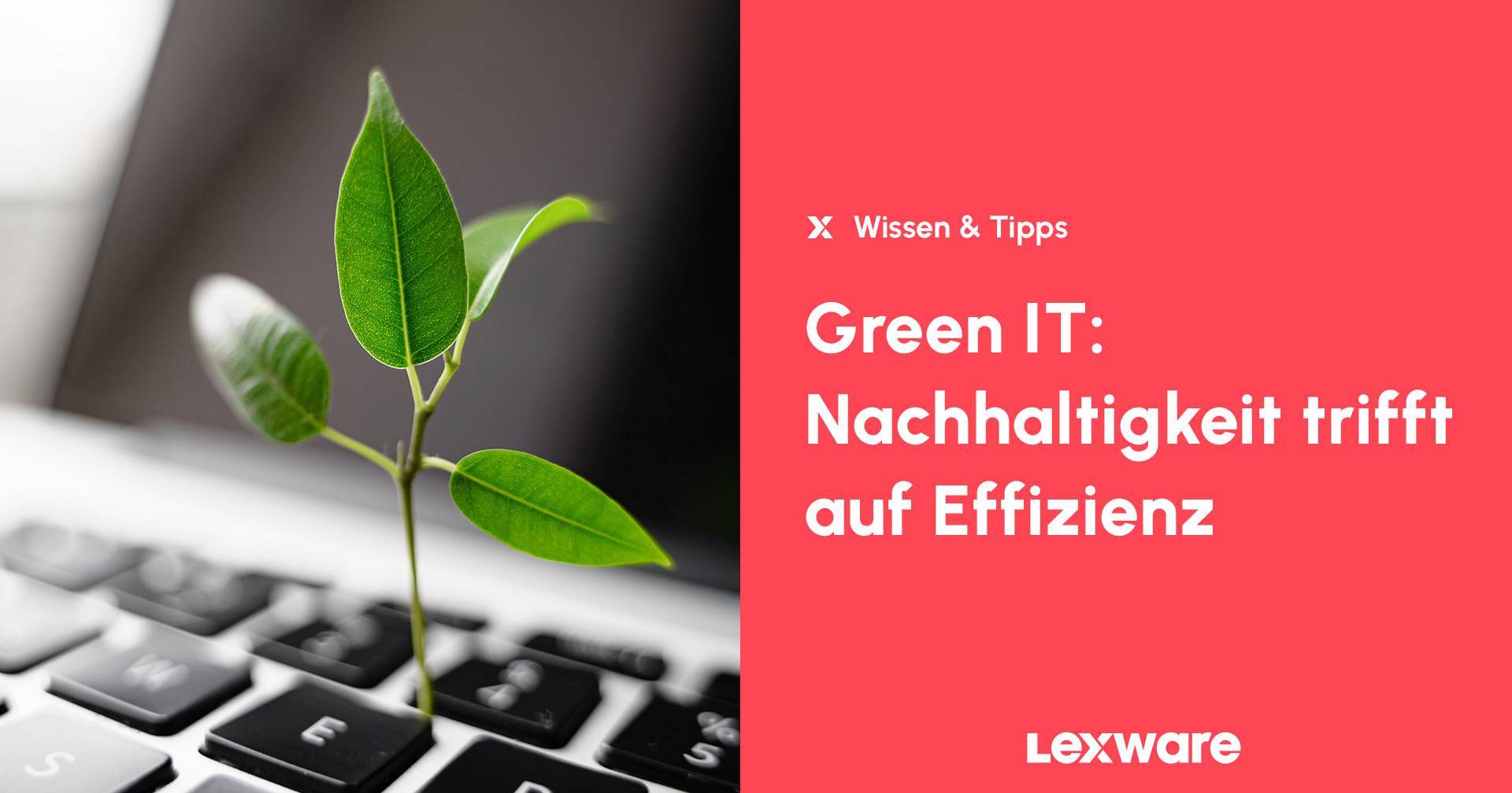 Green IT: Nachhaltigkeit trifft auf Effizienz